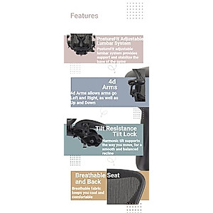 Aeron Chair by Herman Miller - Highly Adjustable Graphite Frame - with PostureFit - Carbon Classic (Medium)