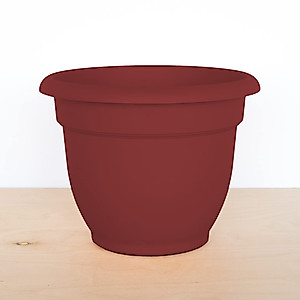 Bloem Ariana Self Watering Planter: 12" - Burnt Red - Durable Resin Pot, for Indoor and Outdoor Use, Self Watering Disk Included, Gardening, 3 Gallon Capacity