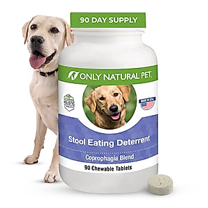 ONLY NATURAL PET Stool Eating Deterrent - Stop Stool Eating Coprophagia - Prevent Poop Eating in Dogs & Puppies | w/Digestive Enzymes | 90 Chewable Tablets for Gut Health - Natural Turkey Flavor