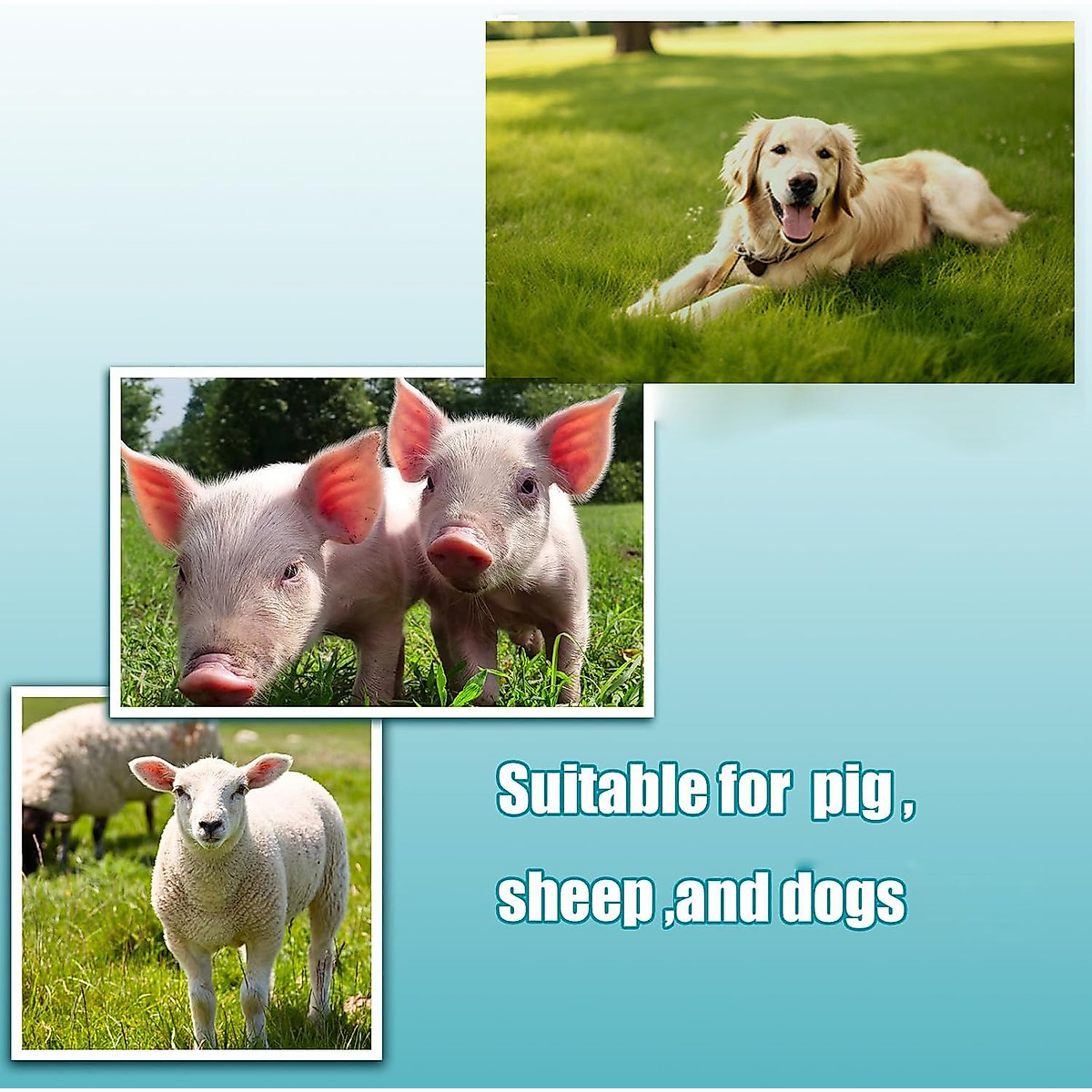 JZRYL Portable Veterinary Ultrasound Machine, 5.7 inch Home Ultrasound Farm Animals Pregnancy Dog Sheep & Pigs,Vet Handheld Sonogram Machine with 3.5Mhz Convex Probe