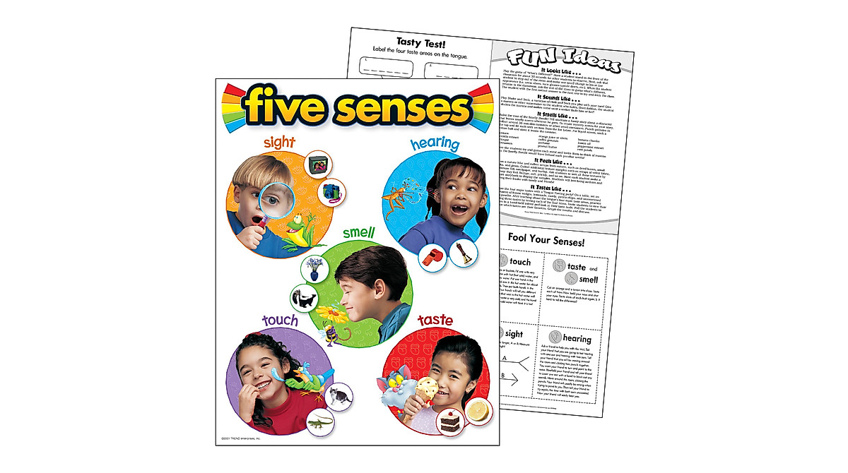 Five Senses Learning Chart for Kids | Educational Classroom Poster