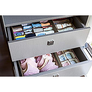 Amelitory Underwear Organizer Drawer Divider Foldable for Bras Panties Socks 4 Set, Beige