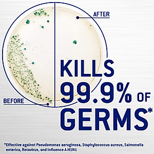 Microban Disinfectant Spray, 24 Hour Sanitizing and Antibacterial Spray, All Purpose Cleaner, Citrus Scent, 4 Count, 22 fl oz Each