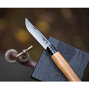 Opinel Stainelss Steel Folding Knife Set - Wooden Boxed Set of 10 Knives, No. 2 - No. 12