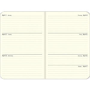 Cavallini Papers & Co. 2019 National Parks Weekly Planner, Multicolor