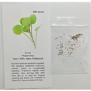 David's Garden Seeds Cress Watercress FBA-3848 (Green) 200 Non-GMO, Heirloom Seeds