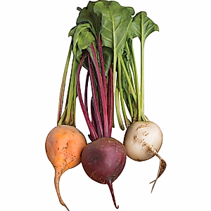 Burpee Three Color Blend Beet Seeds 200 seeds