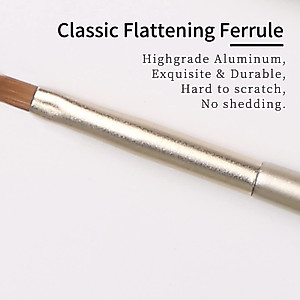 ENZO KEN Thin Lip Brush, Mini Flat Concealer Brush Under Eye, Small Lip Makeup Brush for Lip Stick, Liquid Lipstick, Liquid Blush, Lipgloss, Lip Plumper, Lip Plumping Lip Gloss, Spots, Mature Skin.