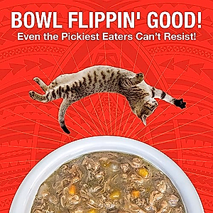 KOHA Pure Shreds Beef Entrée for Cats, Single Meat High Protein Wet Cat Food, 5.5oz Cans (Pack of 12)