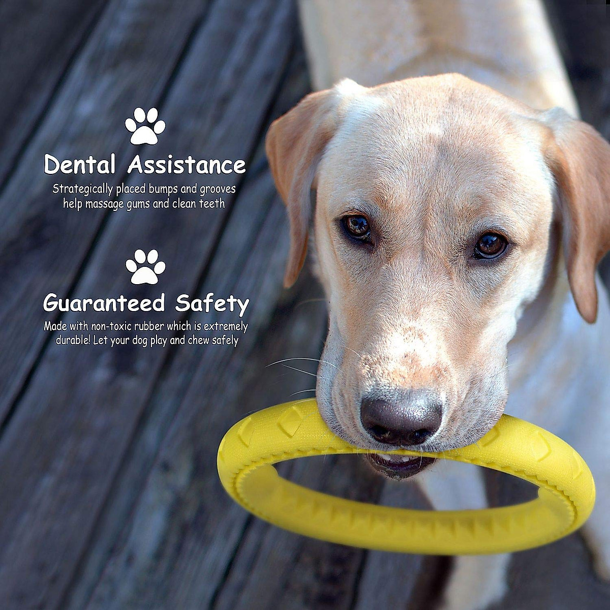 Fluffy Paws Dog Chewing Ring - Soft Rubber Ring Dental Chewing Teething Biting Chasing Training Toy for Small and Medium Dog Puppy - 10", Yellow