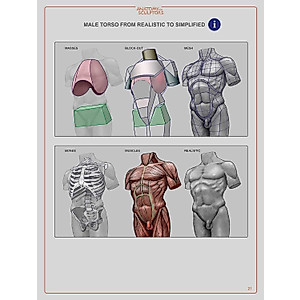 Anatomy For Sculptors, Understanding the Human Figure