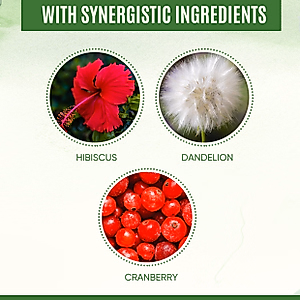 YEVANI 100% Pure D-Mannose Capsules 1000 mg with Cranberry, Hibiscus, and Dandelion Extract, Fast Acting Professional UTI Prevention Formula for Urinary Tract Health and Bladder Support
