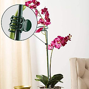 Dreecy 6 Pack 16 Inch Orchid Support Stakes with 12 Pcs Clips, Sturdy Metal Floral Flower Support Garden Single Stem Plant Stakes for Amaryllis Orchid Tomatoes Lily Rose Peony,Dark Green