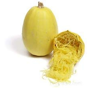 Vegetable Spaghetti Winter Squash Seeds for Planting, 25+ Heirloom Seeds Per Packet, (Isla's Garden Seeds), Non GMO Seeds, Botanical Name: Cucurbita Pepo, Home Garden Gift