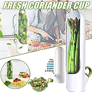 Jfxgjuv Herb Saver Best Keeper For Freshest Produce, Lasting Refrigerator Herb Keeper, Containers, Clear Herb Savor Pod, Herb Storage Container For Cilantro, Mint, Asparagus (set of 3)