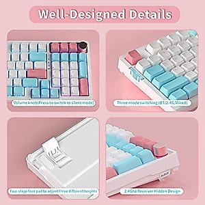 NACODEX AK966 96 Key Hot Swappable Gasket Mount Keyboard | Amazing 10000mAh Bluetooth /2.4G /Wired PC Gaming Custom Keyboard with Kailh MX Cream Switch | Knob Control | MDA PBT Keycaps