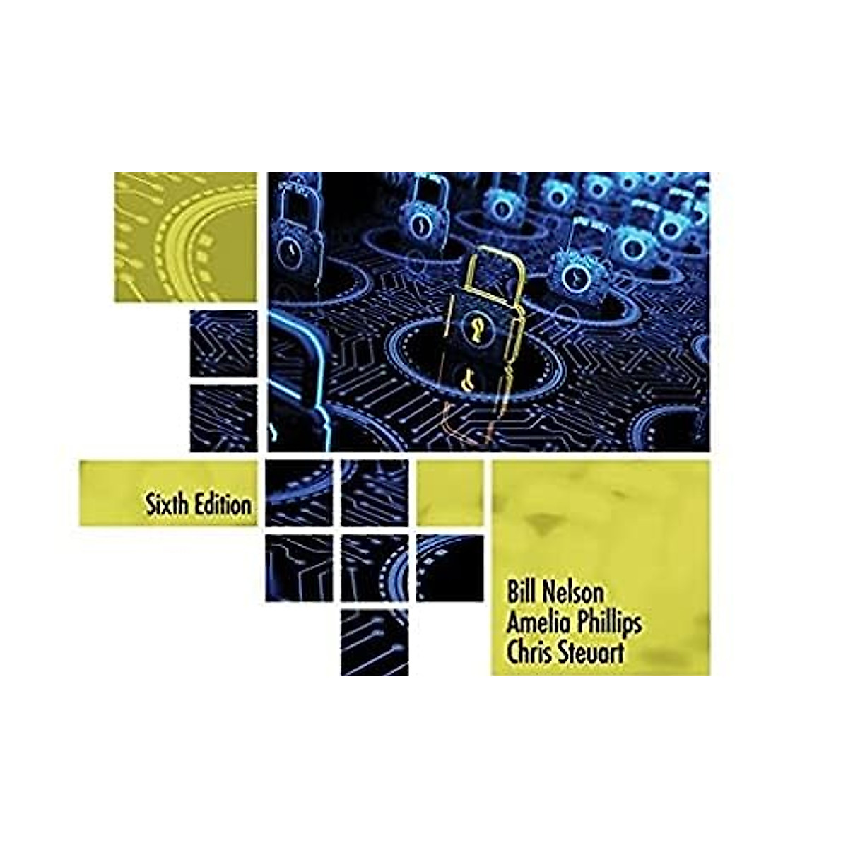 Guide To Computer Forensics and Investigations - Standalone Book