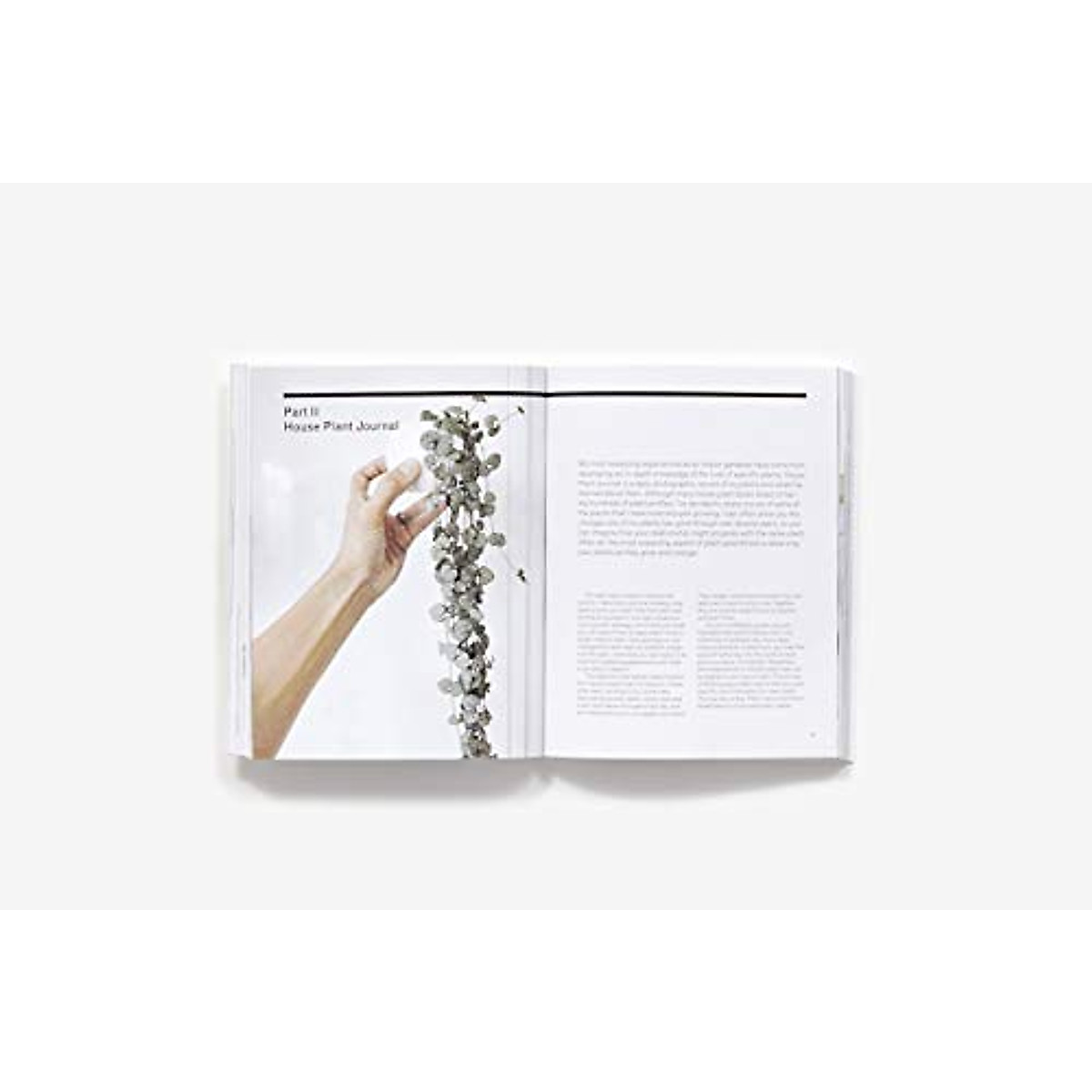 The New Plant Parent: Develop Your Green Thumb and Care for Your House-Plant Family