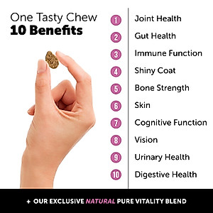 PetHonesty 10 in 1 Multivitamin + Hip & Joint Health Soft Chew Supplement Bundle - Dog Vitamins - Glucosamine Chondroitin, Omegas, Turmeric and MSM for Overall Dog Health, Joint Supplement for Dogs.