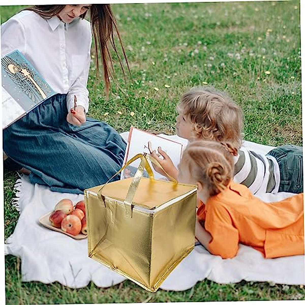 Insulation Bags Pizza Carrier Insulated Bags Tote Bags Shopping Bags Insulated Bags for Shopping Food Bag Insulated Shopping Bag Food Storage Bag Cold Food Bags ABOOFAN