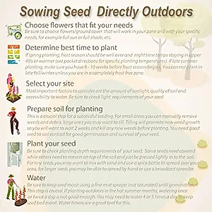 Outsidepride Pansy Jolly Joker Indoor House Plant Or Outdoor Garden Flower for Beds, Borders Pots, & Containers - 100 Seeds