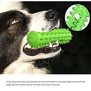 Nico's Friends Interactive Dental Toy for Dogs – Squeaky Puzzle to Clean Teeth and Promote Oral Health – Perfect for Small, Medium, and Large Breeds.