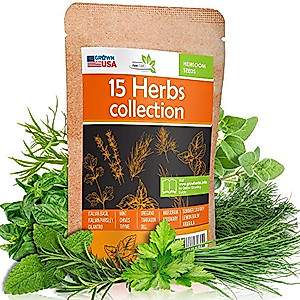 15 Culinary Herb Seeds Pack - Heirloom and Non GMO, Grown in USA - Indoor or Outdoor Garden - Basil, Parsley, Dill, Cilantro, Rosemary, Mint, Thyme, Oregano, Tarragon, Chives, Sage, Arugula & More