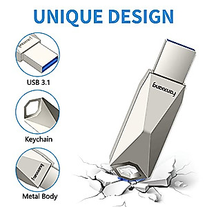 Fanxiang USB 32GB Flash Drive 3.1, Read Speed up to 250MB/S, USB Thumb Drive Portable Small High-Speed Storage Memory Stick, Suitable for PC/Tablet/Mac/Laptop(Silver)
