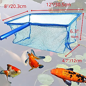 CORISRX BEST OF YOUR LIFESTYLE 12"x 8" Koi Adjustable Fish NET Handle 30~54cm Aluminum Fishing Pond Tank Blue