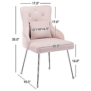 Creek Vista Velvet Vanity Chair,Upholstered Dining Chair for Bedroom, Dining Room, Makeup Room, Modern Living Room Chair with Metal Legs