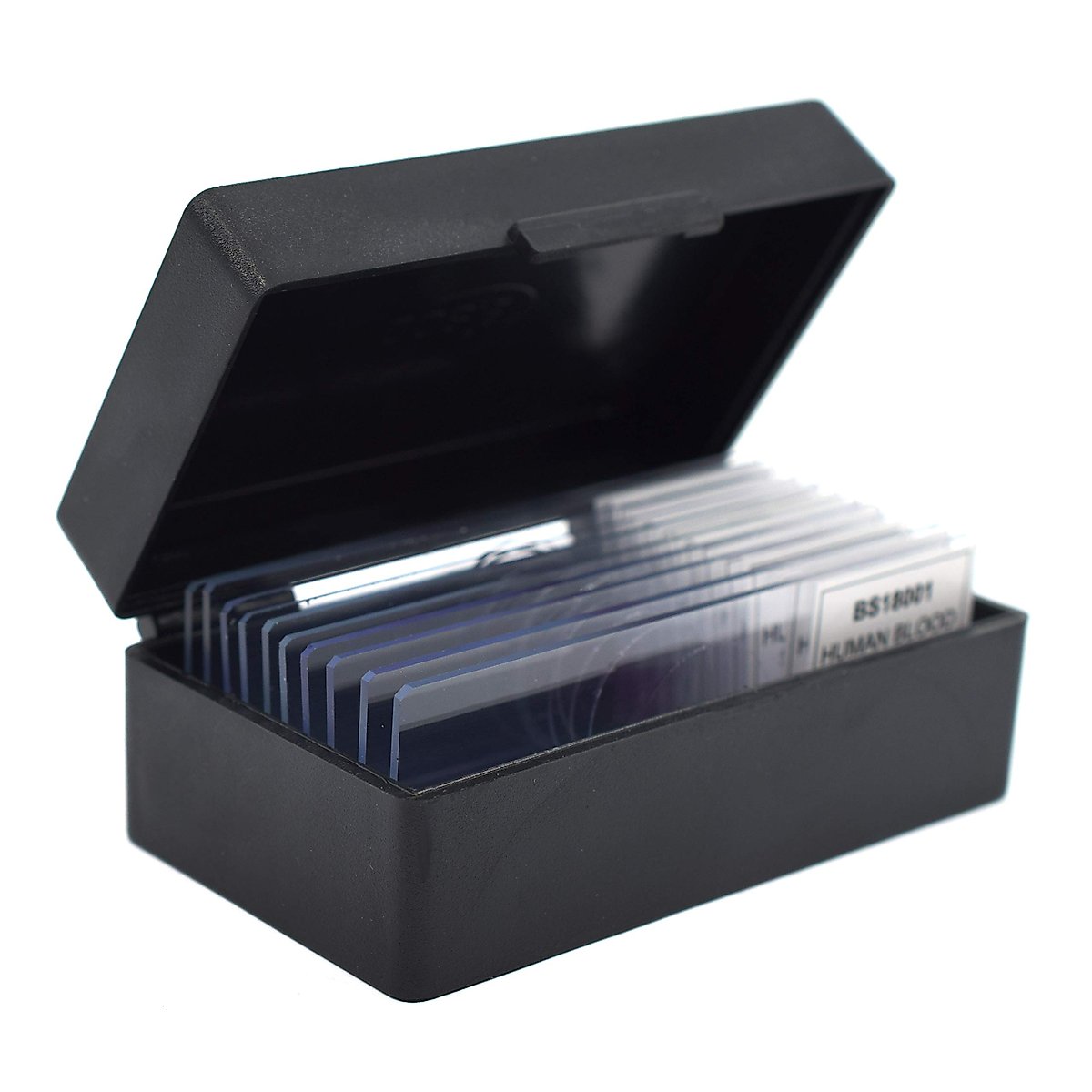 EISCO (Pack of 10) Allium Root Tip, Longitudinal Section - Prepared Microscope Slides - Classroom Pack, 10 Slides in Storage Case - Biology & Microscopy