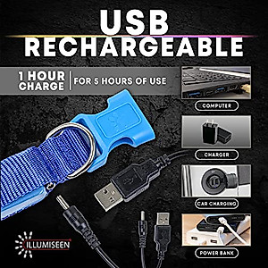 Illumiseen LED Dog Collar USB Rechargeable - Bright & High Visibility Lighted Glow Collar for Pet Night Walking - Weatherproof, in 6 Colors & 6 Sizes (Green Large)