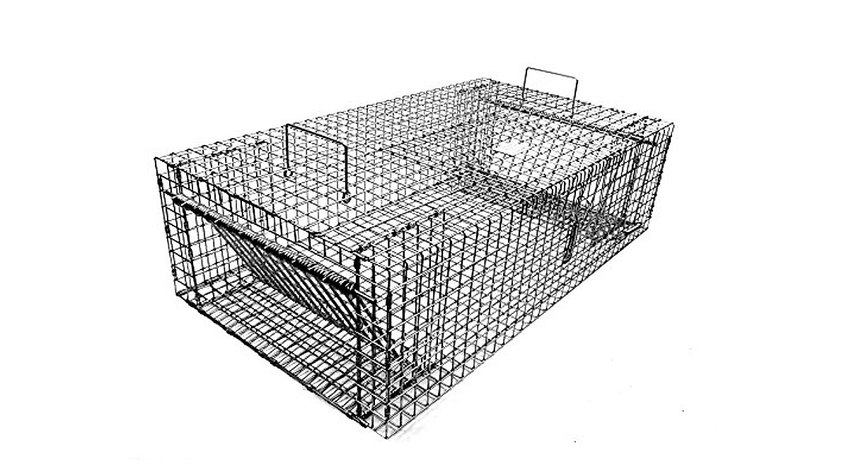 Tomahawk 450 Repeating Reptile Trap for Lizards & Turtles