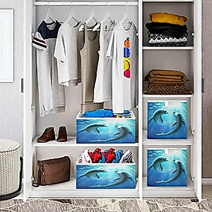 Kigai Dolphins Cube Storage Bins - 11x11x11 in Large Foldable Cubes Organizer Storage Basket for Home Office, Nursery, Shelf, Closet