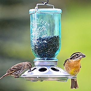 Perky-Pet 784 Mason Jar Wild Bird Feeder, No Size, Blue
