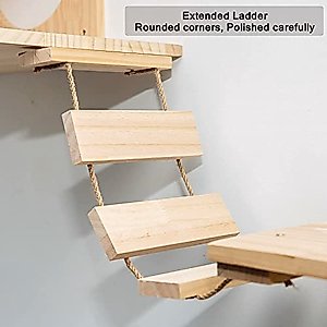 Cat Wall Shelves, Cat Shelves and Perches for Wall, Cat Wall Furniture Set 5 PCS Cat Wall Mounted with 1 Cat Condos House, 2 Cat Wall Shelves, 1 Cat Sisal Scratching Post, 1 Ladder