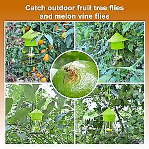 Moskiller Outdoor Fruit Trees and Melon Vines Fly Traps with Natural Fruit Fly Bait Refill,Reusable Fruit Flies Trap Jar for Fruit and Vegetable Garden (Green)