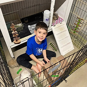 Grembeb 5pcs Rabbit Toys,Bunny Chew Treat for Teeth Grinding,Hanging Timothy Hay Ball +Apple Stick Wood +Alfalfa Grass Cake Food Snack for Cage Guinea Pig Chinchilla Hamster Squirrel Gerbil Rat Parrot