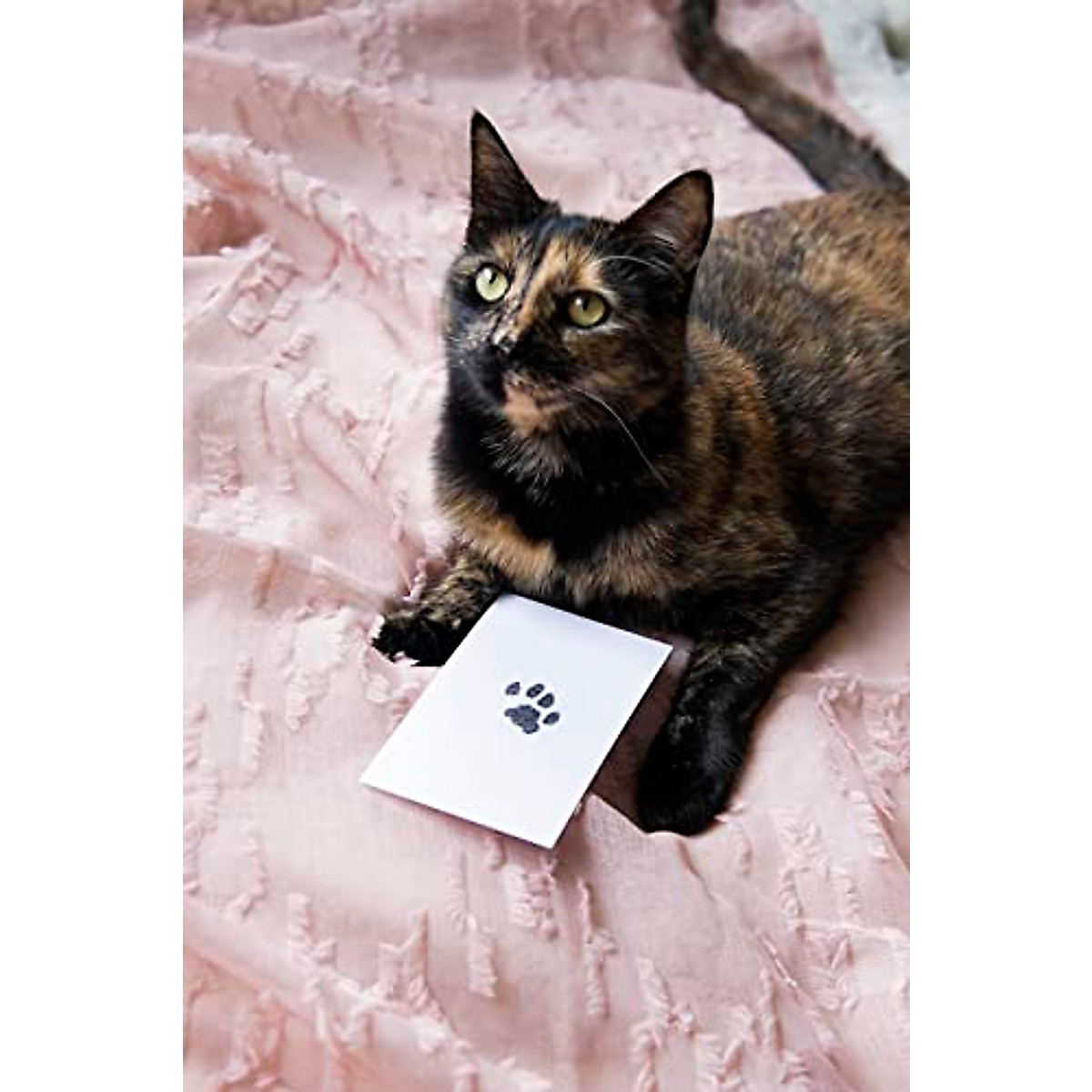 Pearhead Small Pet Paw Print Clean-Touch Ink Pad and Imprint Cards, for Small Sized Cats or Dogs, Pet Owner Gifts, DIY Keepsake Pawprint Maker, Black