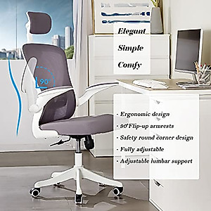 Dedeo Ergonomic Office Chair, Home Office Computer Chair, High Back Mesh Desk Chair with Adjustable Lumbar Support and Headrest, Tilt Function, Thick Seat Cushion Breathable Mesh Computer Chair