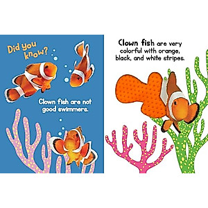 Ocean Friends - Touch and Feel Board Book - Sensory Board Book