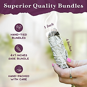 PURPLE CANYON White Sage Bundles - (3 Pack) - Sage Smudge Stick for Home Cleansing Incense Healing Meditation and California Smudge Sticks Rituals (4 Inch)