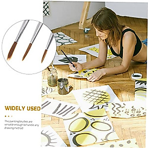 VILLCASE 3pcs Set Adult Coloring Pens Miniature Kit Spray Paint Set Miniature Painting Detail Line Brush Art Special Pen Acrylic Brush to Paint Acrylic Paint Wooden Manicure