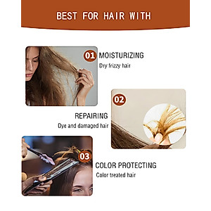 SAPHUS Argan Oil Shampoo Bar for Strengthening, Cleansing & Moisturizing Dry & Curly Hair,Travel Size, Zero Waste