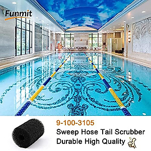 10 Pack Tail Scrubber Replacement for Polaris 280 360 180 380 480 3900 Pool Cleaner Parts, Sweep Hose Scrubber