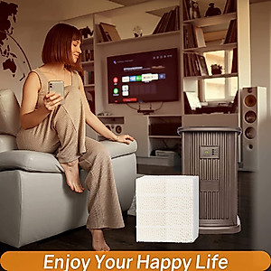 1043 Essick Humidifier Wick Filter for AIRCARE Air EP9500 EP9700 EP9800 EP9 EP9R EP9R500 EP9R700 EP9R800 800821000 826000 826600 831000 Fit Bemis Space Saver 800 8000 Series Evaporative - 2 Pack