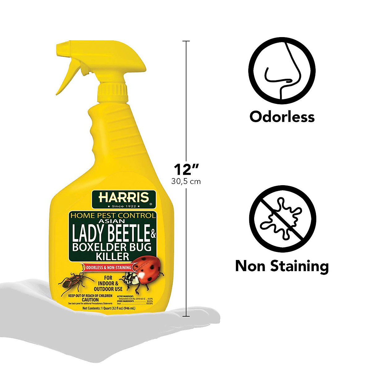 Harris Asian Lady Beetle and Box Elder Killer, Liquid Spray with Odorless and Non-Staining Extended Residual Kill Formula (32oz)