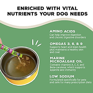 Brutus Broth Instant On The Go Vegetable Powder for Dogs - Vegetable Powder with Omegas 3, 6 & 9 & Turmeric - Human Grade Dog Food Toppers for Dry Food & Picky Eaters - 10 Stick (Salmon Flavor)