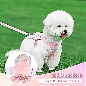PETCARE Cute Bow Tie Dog Harness and Leash Set Elegant Rainbow Gradient Puppy Harness No Pull Soft Mesh Pet Cat Dog Vest Harnesses for Small Dogs Cats, Pink