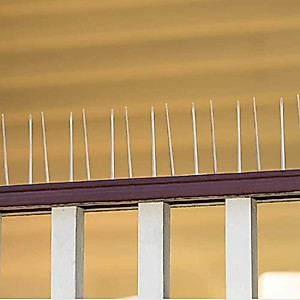 Bird Blinder Plastic Bird Spikes - Polycarbonate Deterrent for Pigeons and Other Small Birds - Bird Nest Prevention, Bird Repellent Outdoor Devices (16 Foot Coverage)